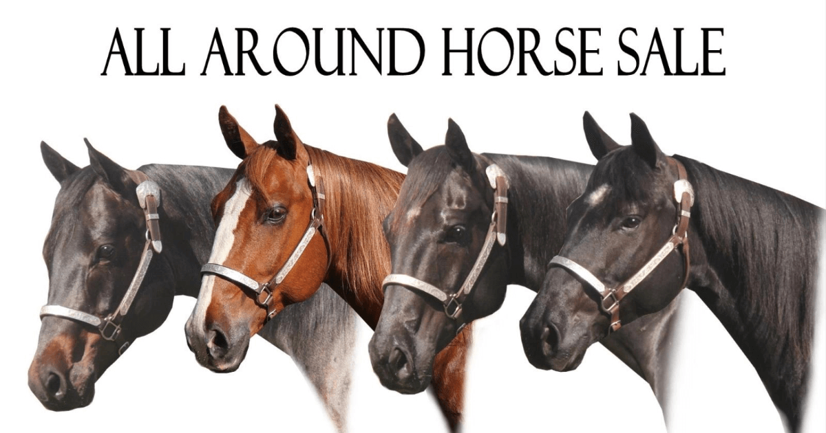 Sale Catalogue Home - All Around Horse Sale