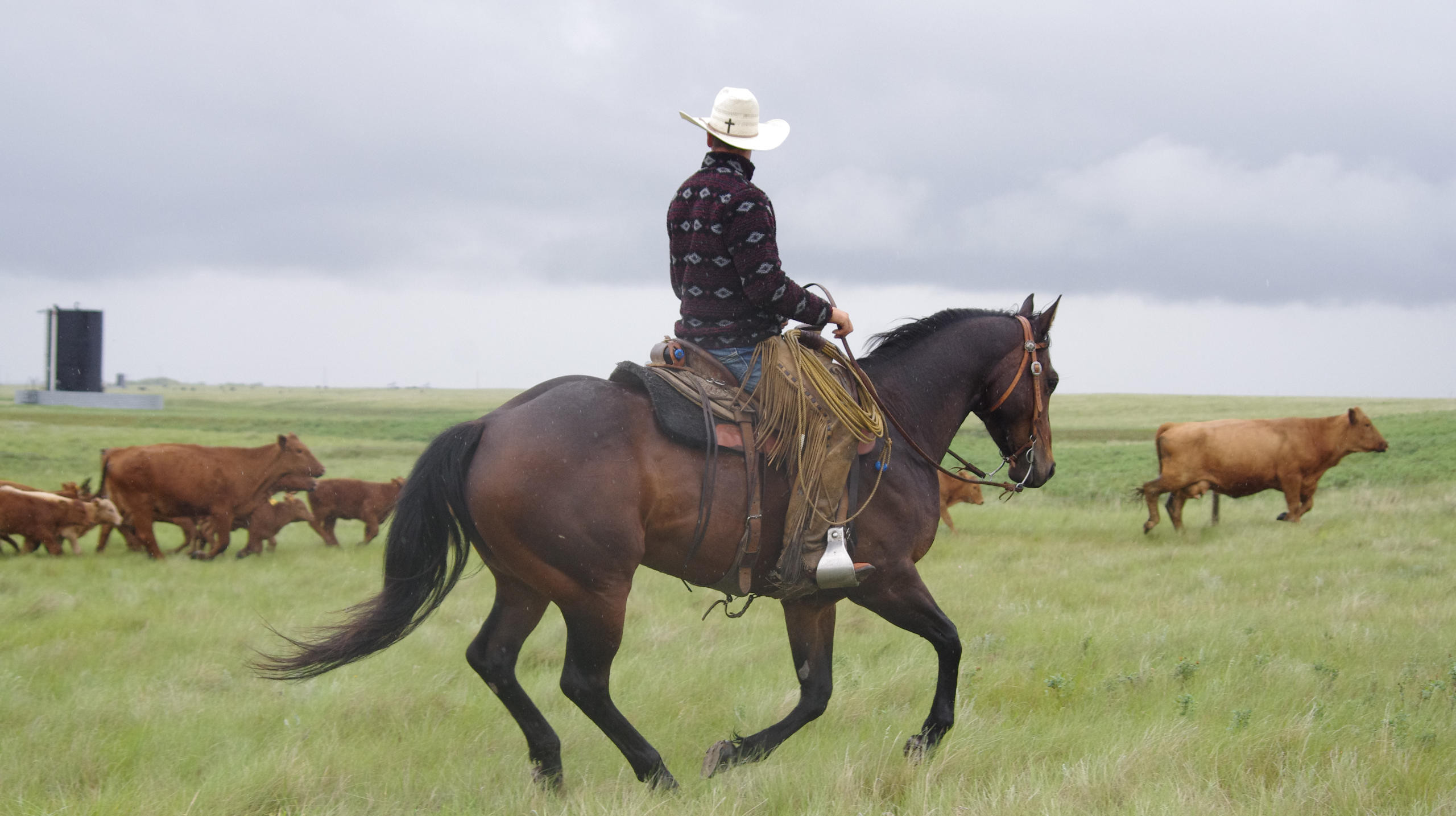 Home - Bar Heart Ranch Sale