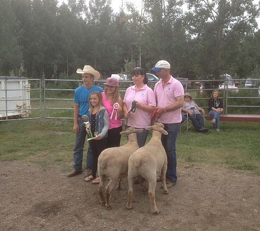 Coyote Acres Ranch - Canadian Arcott Sheep