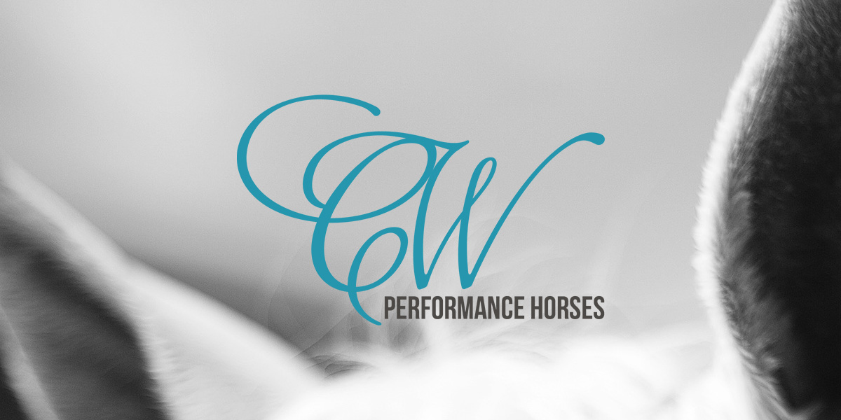 Home - CW Performance Horses Sale