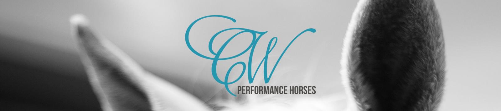 Home - CW Performance Horses Sale
