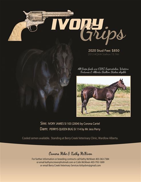 Ivory Grips - breeding information, stallion directory, studbook.